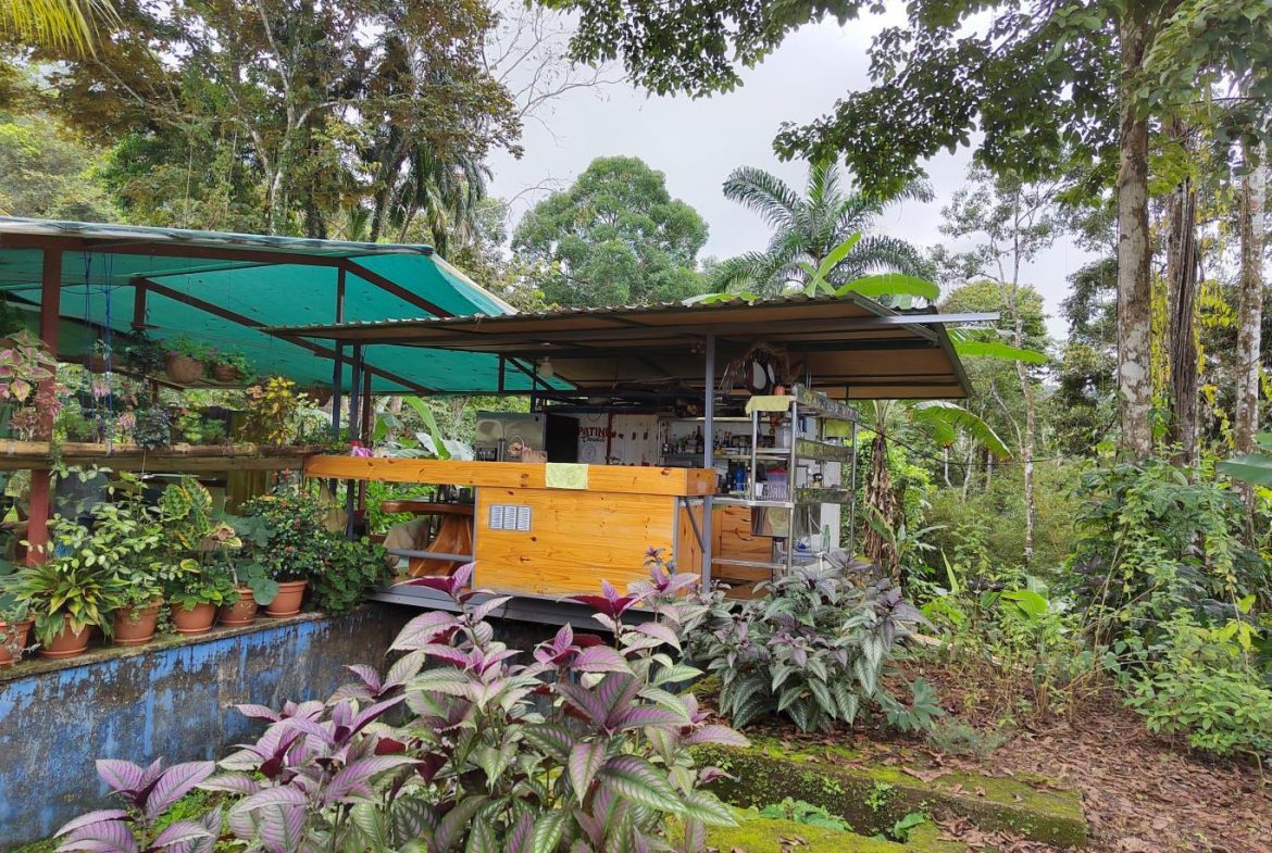 FINCA LA PAZ FARM WITH AMAZING MOUNTAIN VIEWS, CREEK AND COOL CLIMATE ...