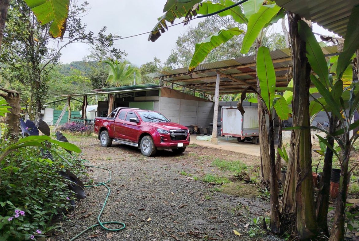 FINCA LA PAZ FARM WITH AMAZING MOUNTAIN VIEWS, CREEK AND COOL CLIMATE ...