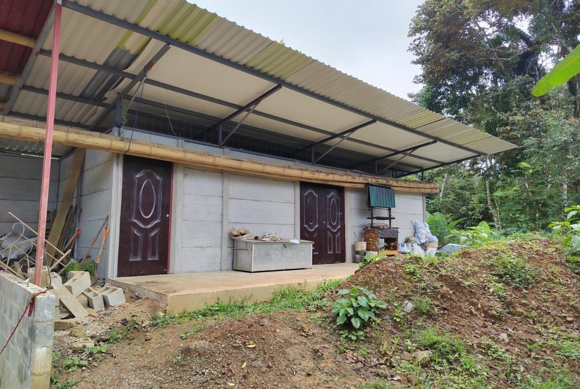 FINCA LA PAZ FARM WITH AMAZING MOUNTAIN VIEWS, CREEK AND COOL CLIMATE ...