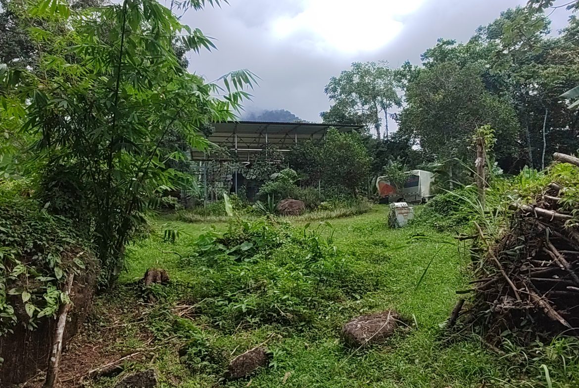 FINCA LA PAZ FARM WITH AMAZING MOUNTAIN VIEWS, CREEK AND COOL CLIMATE ...