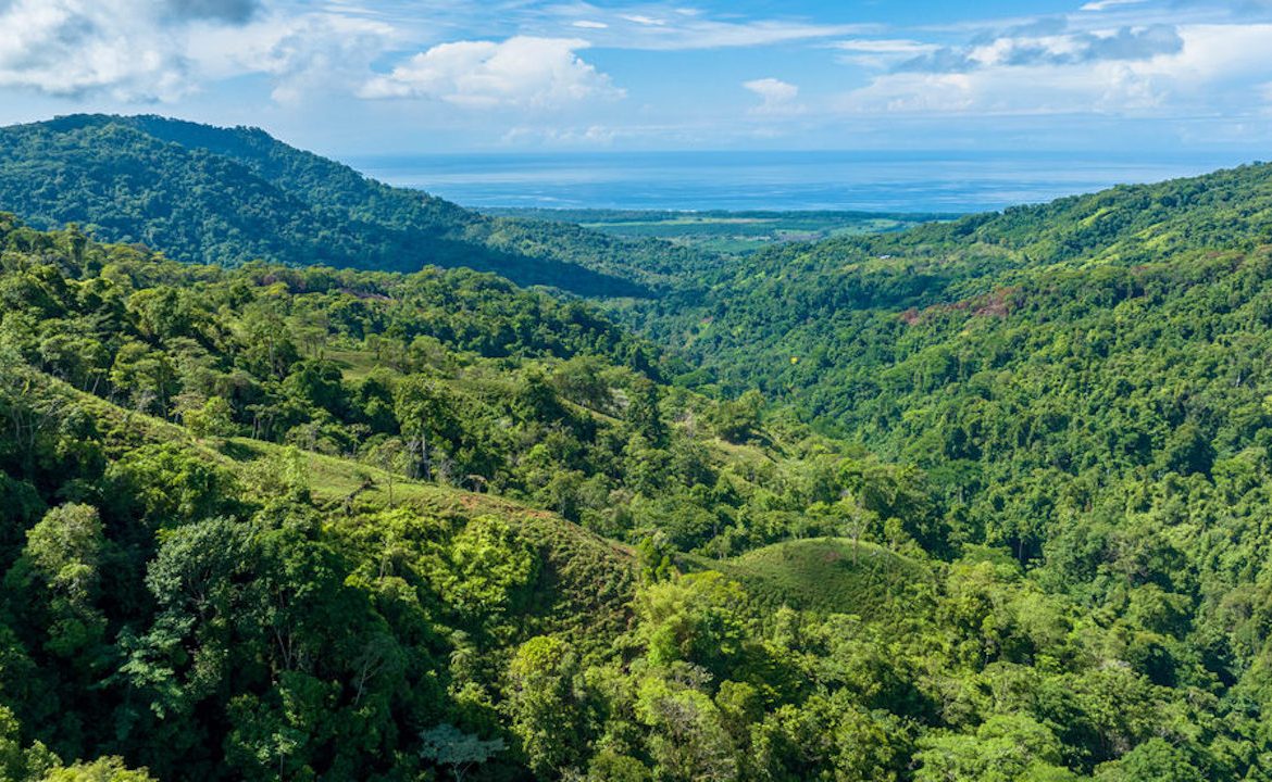 PORTALON PROPERTY - DEVELOPMENT POTENCIAL WITH OCEAN VIEWS AND ...