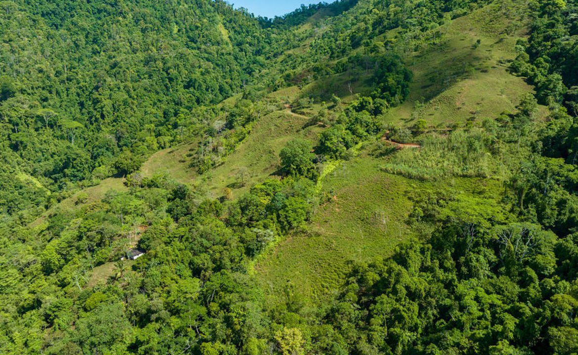 PORTALON PROPERTY - DEVELOPMENT POTENCIAL WITH OCEAN VIEWS AND ...