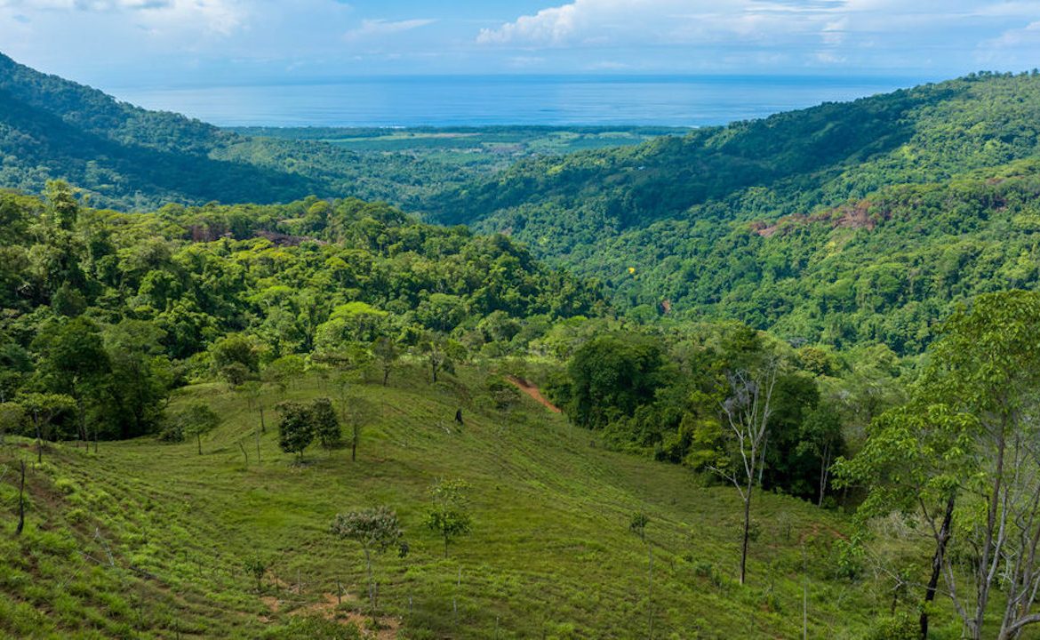 PORTALON PROPERTY - DEVELOPMENT POTENCIAL WITH OCEAN VIEWS AND ...