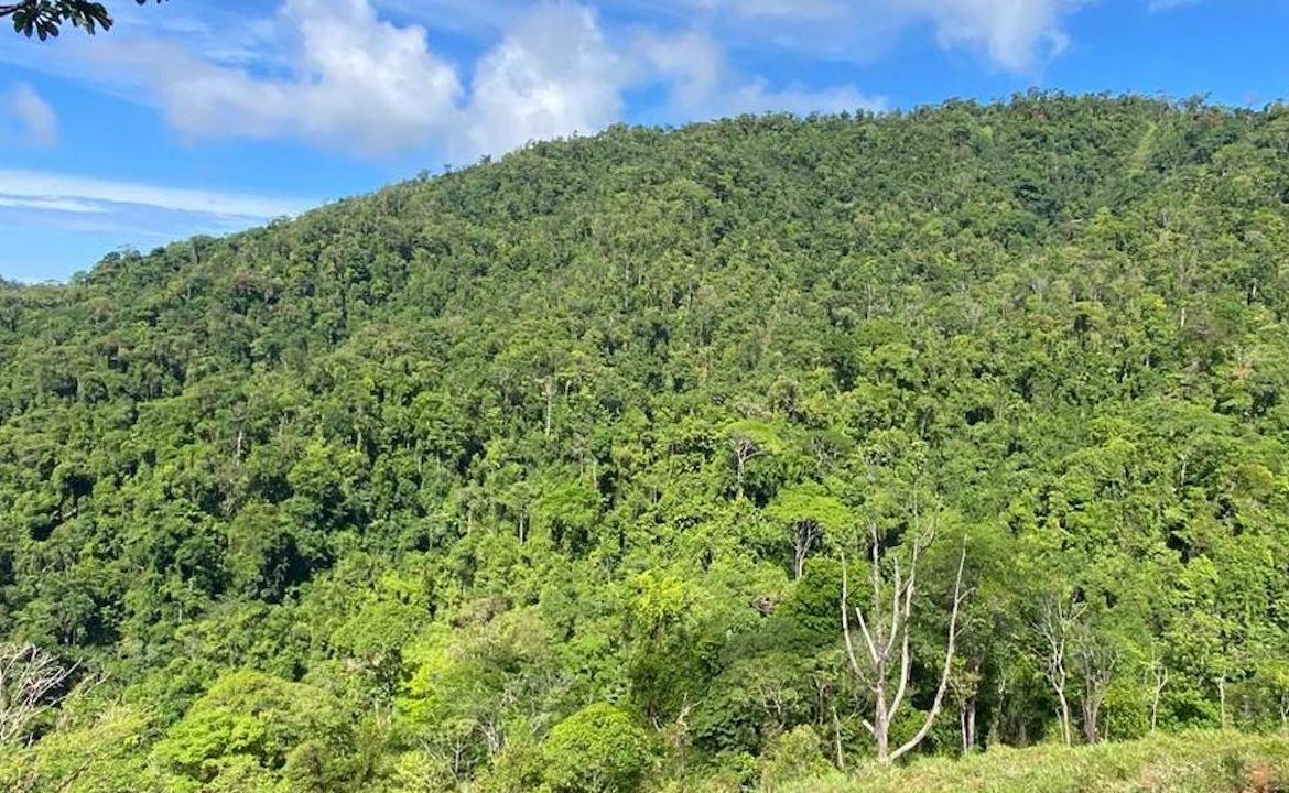 PORTALON PROPERTY - DEVELOPMENT POTENCIAL WITH OCEAN VIEWS AND ...