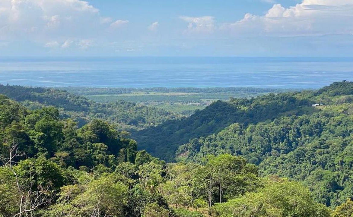 PORTALON PROPERTY - DEVELOPMENT POTENCIAL WITH OCEAN VIEWS AND ...