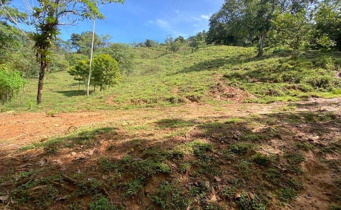 PORTALON PROPERTY - DEVELOPMENT POTENCIAL WITH OCEAN VIEWS AND ...