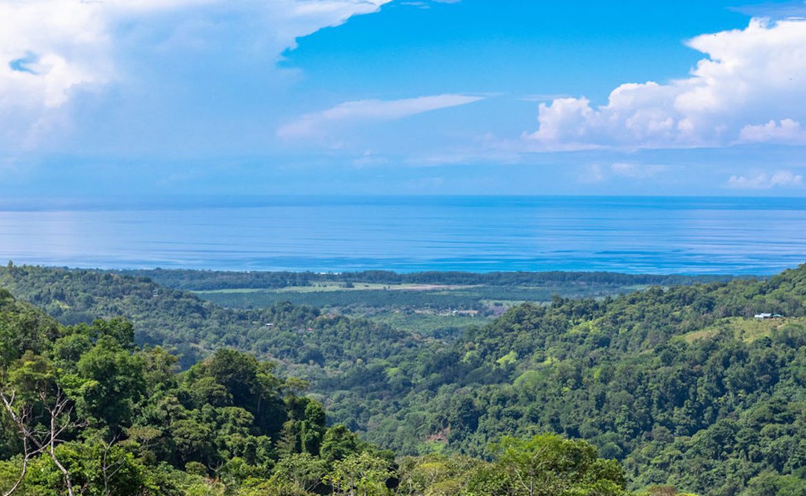 PORTALON PROPERTY - DEVELOPMENT POTENCIAL WITH OCEAN VIEWS AND ...