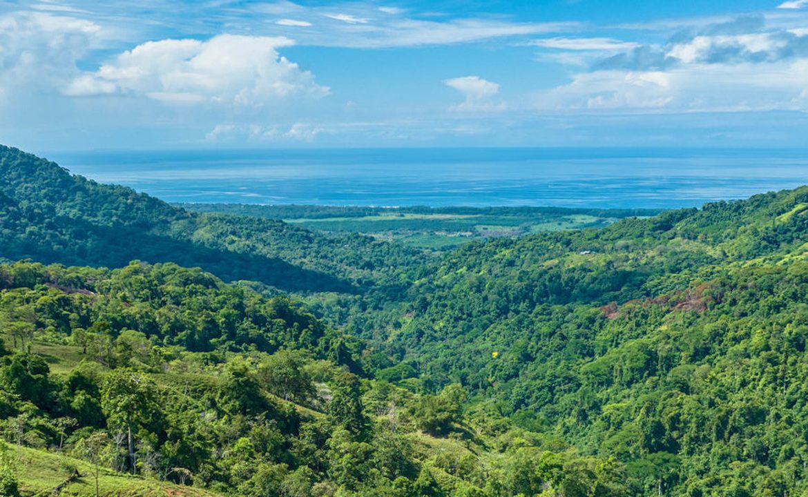 PORTALON PROPERTY - DEVELOPMENT POTENCIAL WITH OCEAN VIEWS AND ...