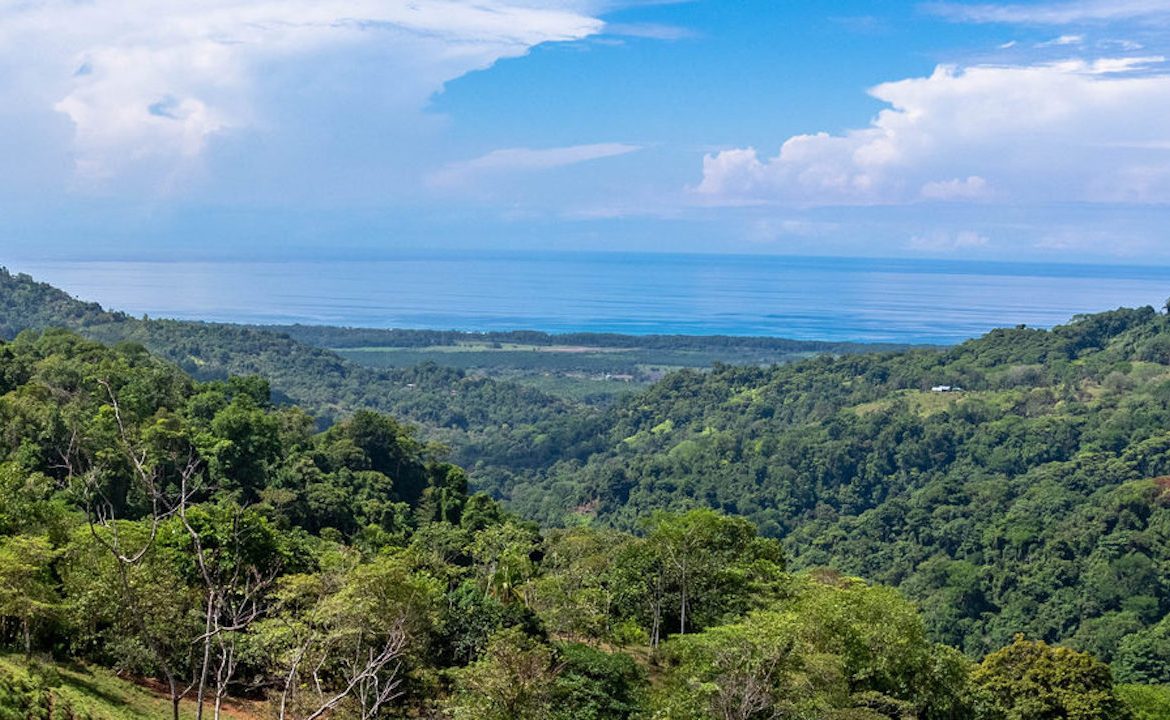 PORTALON PROPERTY - DEVELOPMENT POTENCIAL WITH OCEAN VIEWS AND ...