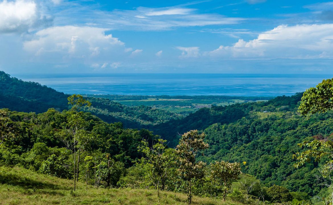 PORTALON PROPERTY - DEVELOPMENT POTENCIAL WITH OCEAN VIEWS AND ...