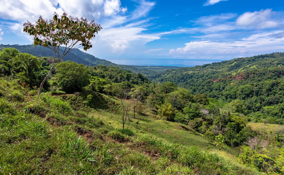 PORTALON PROPERTY - DEVELOPMENT POTENCIAL WITH OCEAN VIEWS AND ...