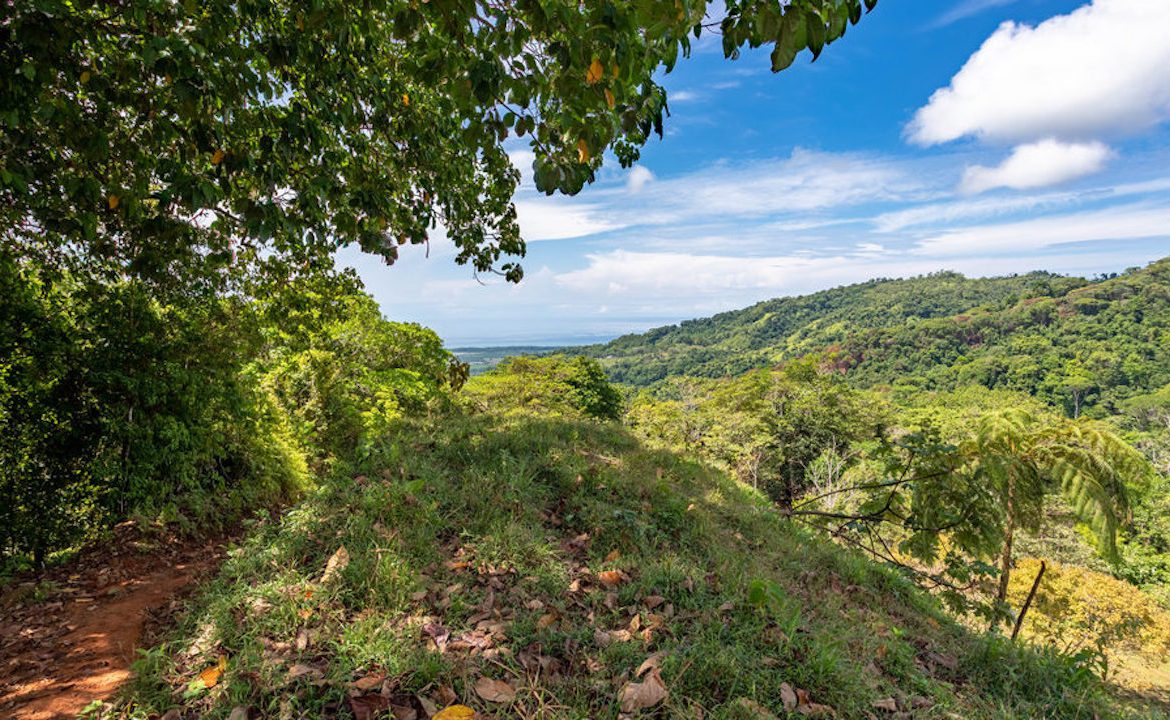PORTALON PROPERTY - DEVELOPMENT POTENCIAL WITH OCEAN VIEWS AND ...