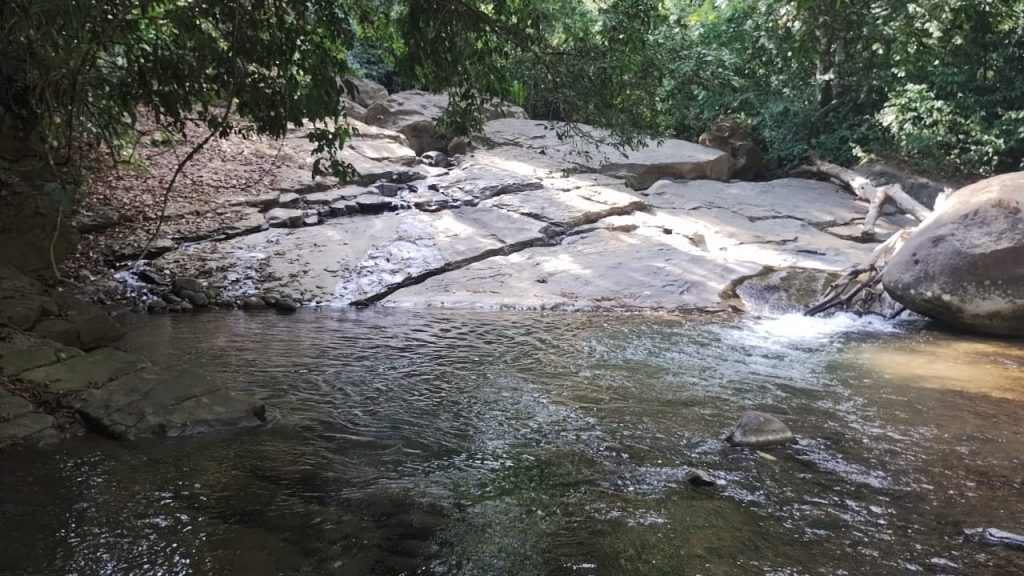 RIVER ACCESS, LEGAL WATER,ELECTRICITY, NATURAL BUILDING SITES - 9 ACRES ...