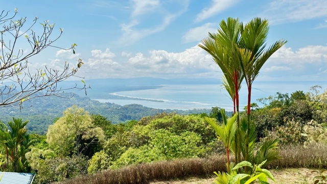 OCEAN VIEW LOT READY TO BUILD - 0.5 ACRES - Dominical Property - Costa Rica